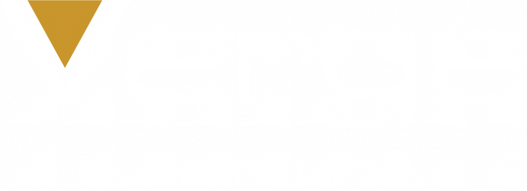 Verge Medical Acquires RoVo™ System to Advance Peripheral Embolic ...