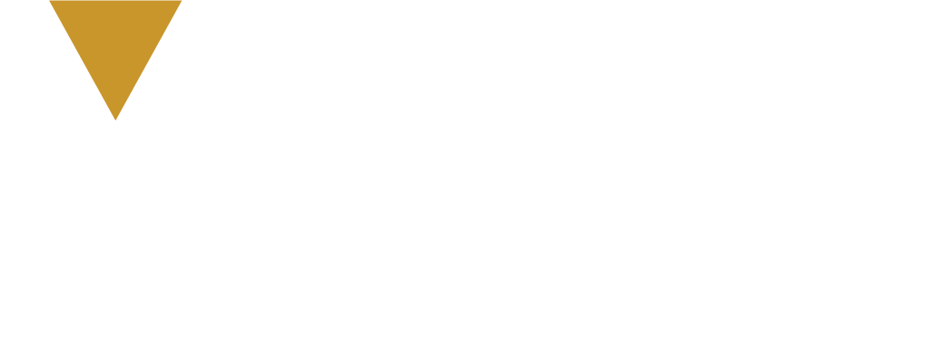 Verge Medical Acquires RoVo™ System to Advance Peripheral Embolic ...